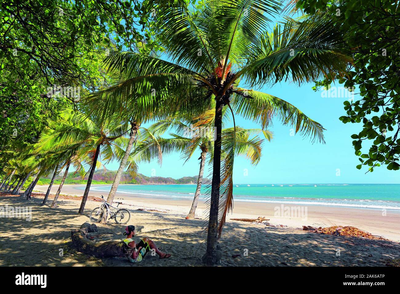 Provinz Guanacaste/Halbinsel Nicoya: Palmen am Strand von Playa Garza ...