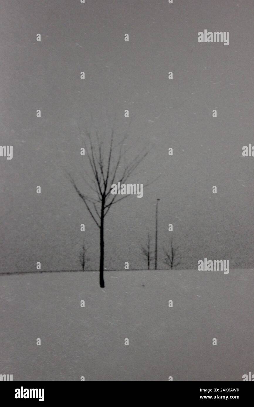 Fine seventies black and white extreme photography of a bleak and ...