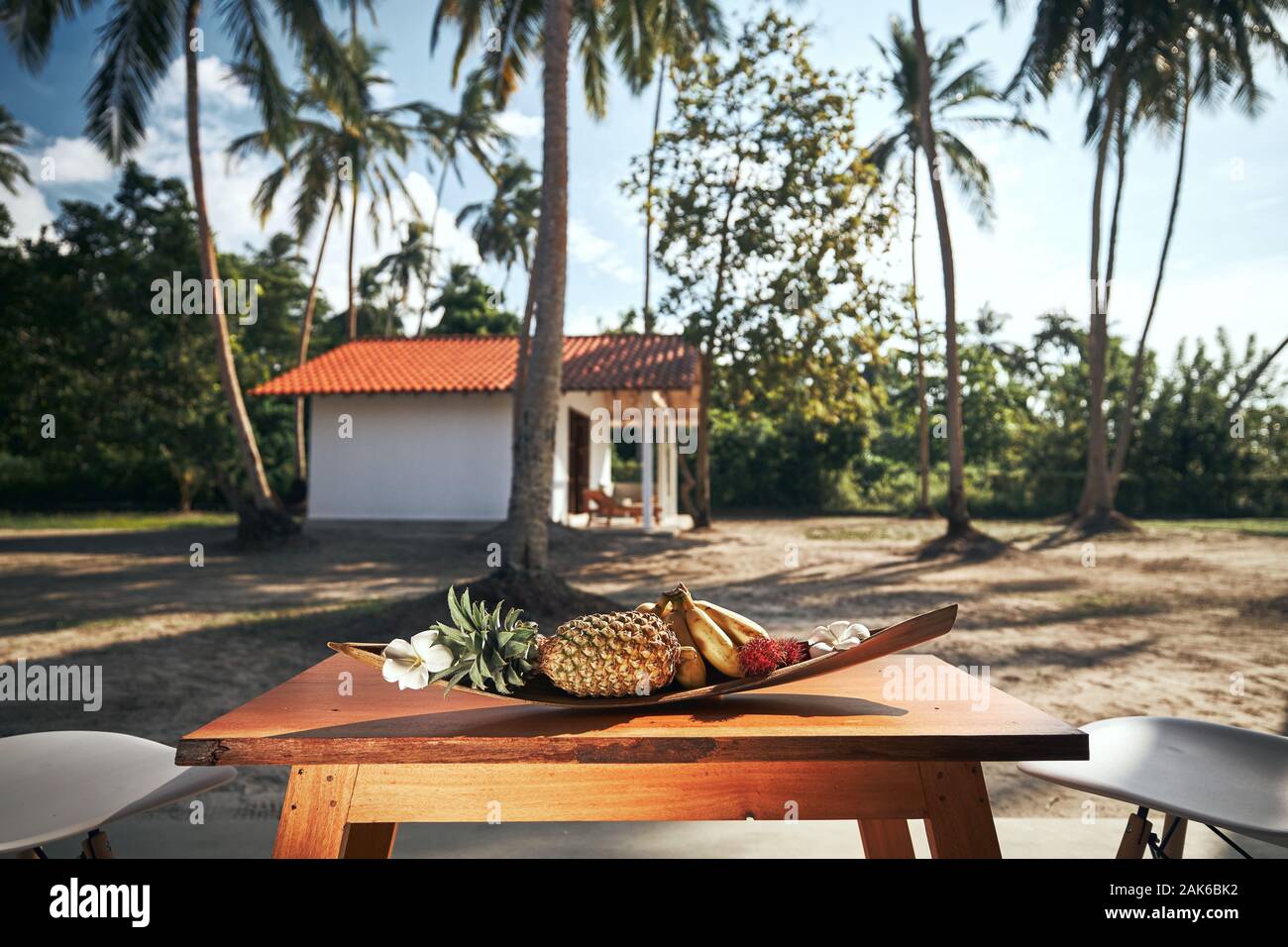 Table chair under tree in hi-res stock photography and images - Alamy