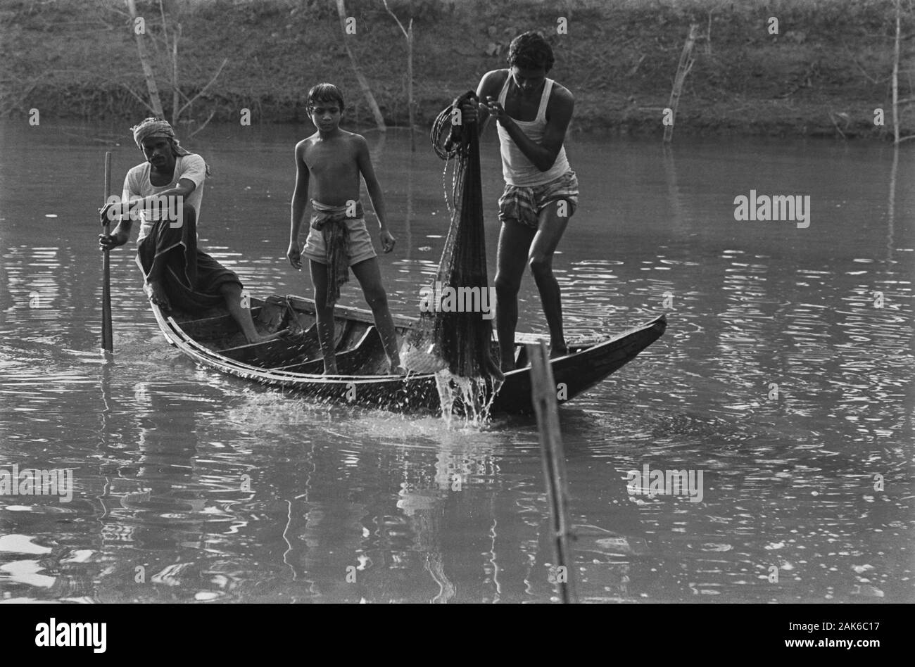 Bangladesh ponds hi-res stock photography and images - Alamy