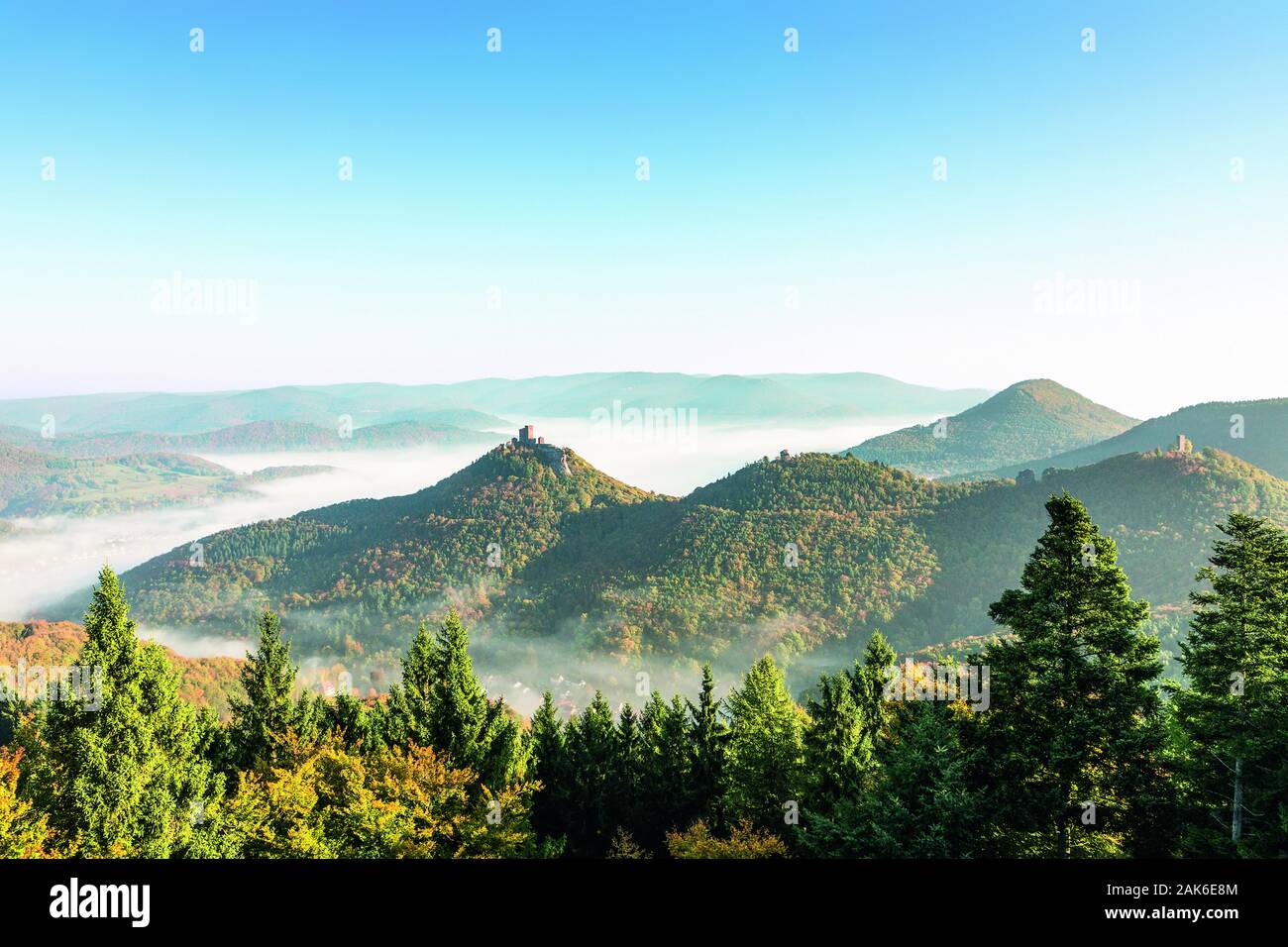 Pfaelzerwald hi-res stock photography and images - Alamy