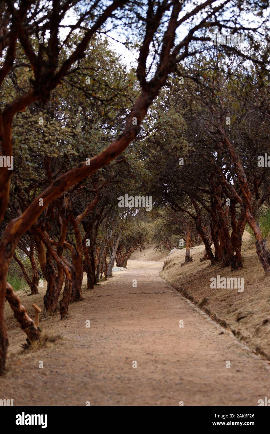 Picturesque walking path towards Christo Blanco statue at the outskirts ...