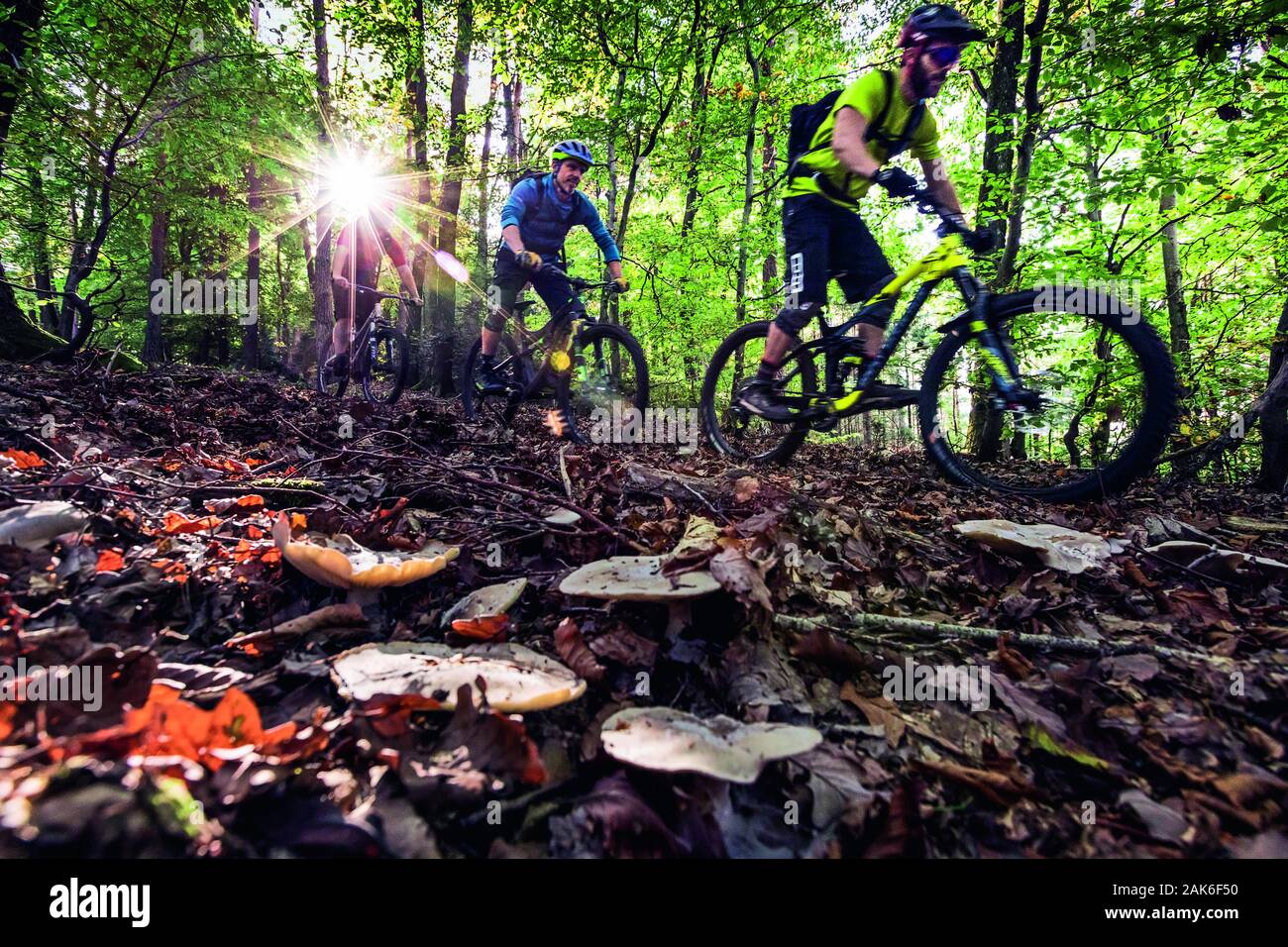 Rehberg hi-res stock photography and images - Alamy