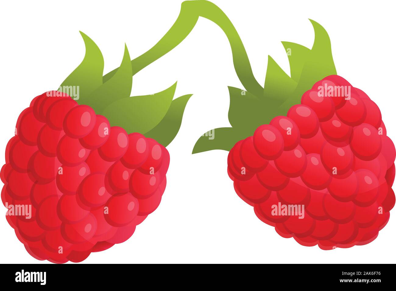 Garden raspberry icon. Cartoon of garden raspberry vector icon for web ...