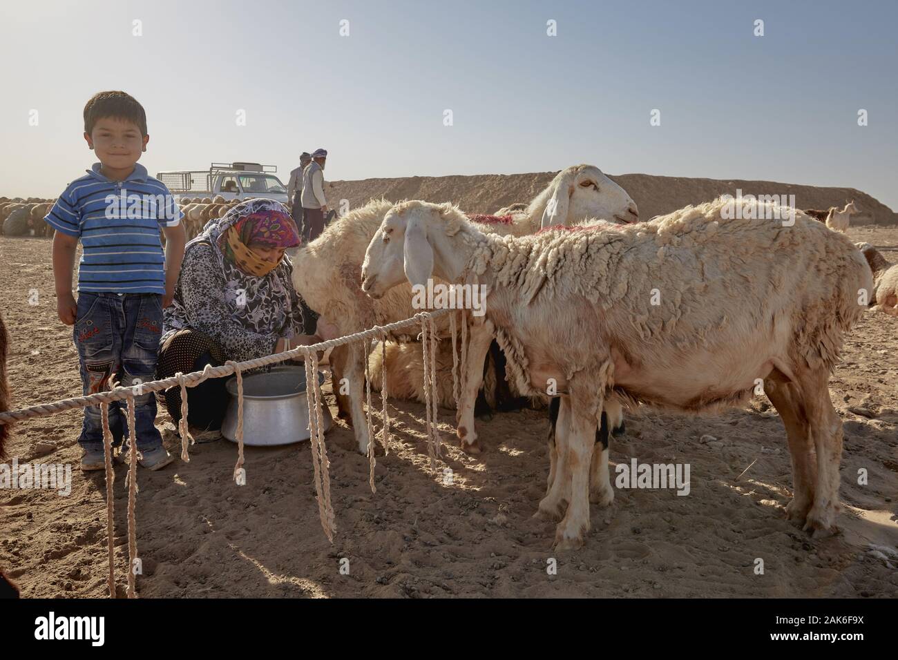 Schafhirte hi-res stock photography and images - Alamy