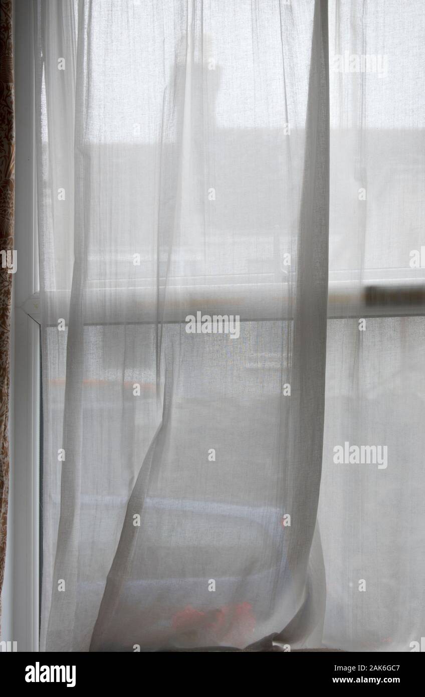 Looking out of a window, grey lace curtain, nobody 2019 HOMER SYKES ...