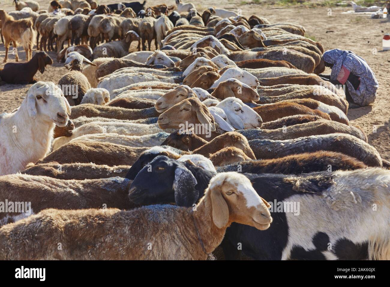 Torbat e hi-res stock photography and images - Alamy