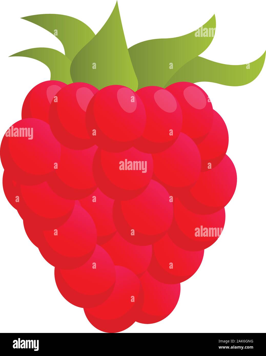 Raspberry food icon. Cartoon of raspberry food vector icon for web ...