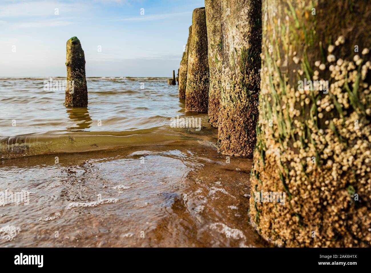 Old mole with shells on coast of Baltic sea Stock Photo - Alamy