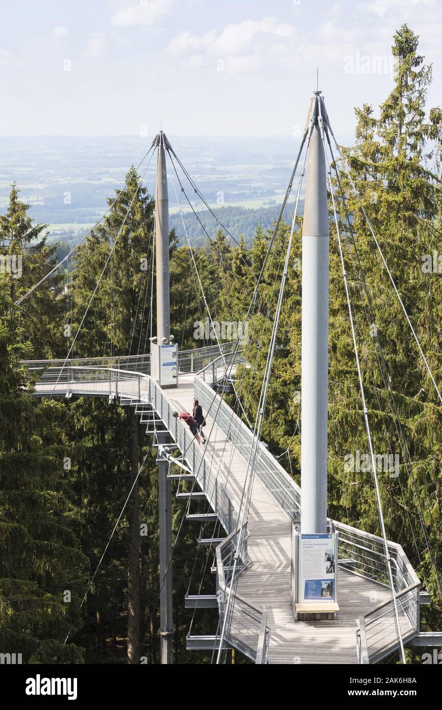 Scheidegg: Skywalk Naturerlebnispfad, Allgaeu | usage worldwide Stock ...
