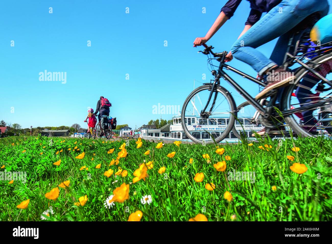 Insel Hiddensee: Radfahrer auf dem Deich in Vitte, Ruegen | usage ...