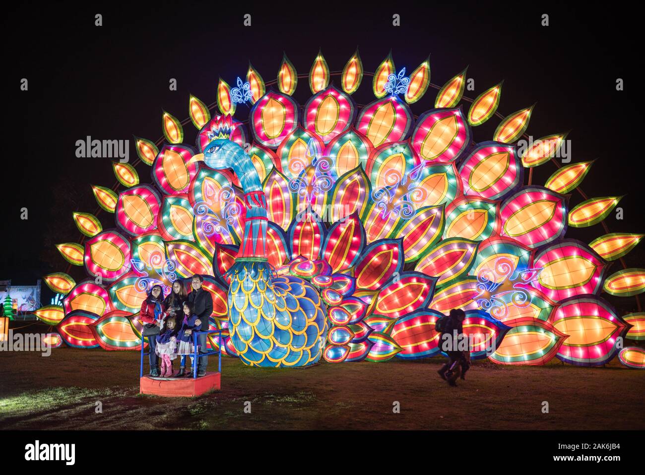 giant peacock light display in Los Angeles at the LA Arboretum in Los ...