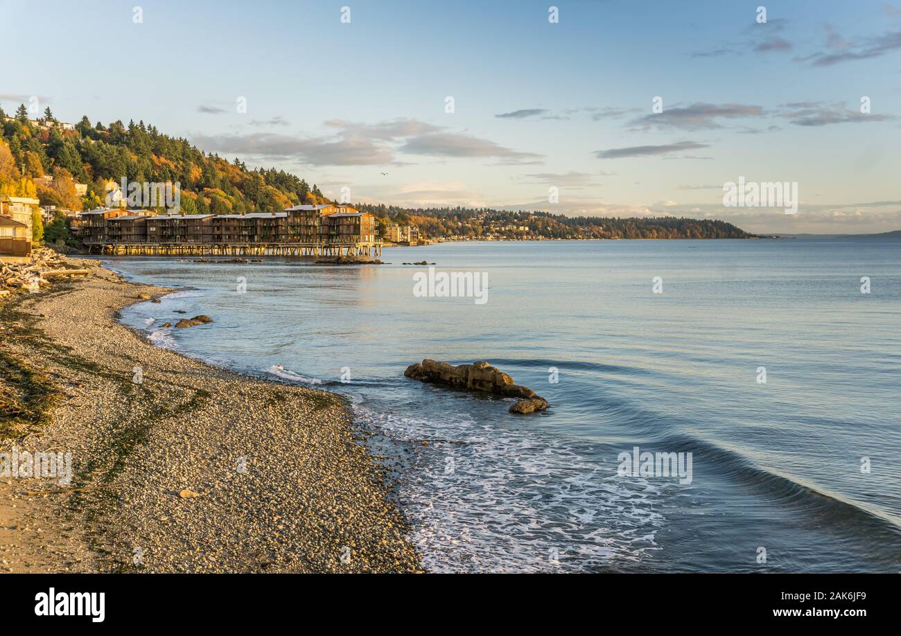 Autumn trees with rich color above the shoreline in West Seattle ...
