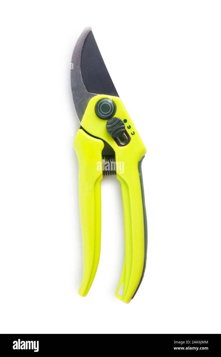 Studio shot of garden pruning secateurs isolated on a white background ...