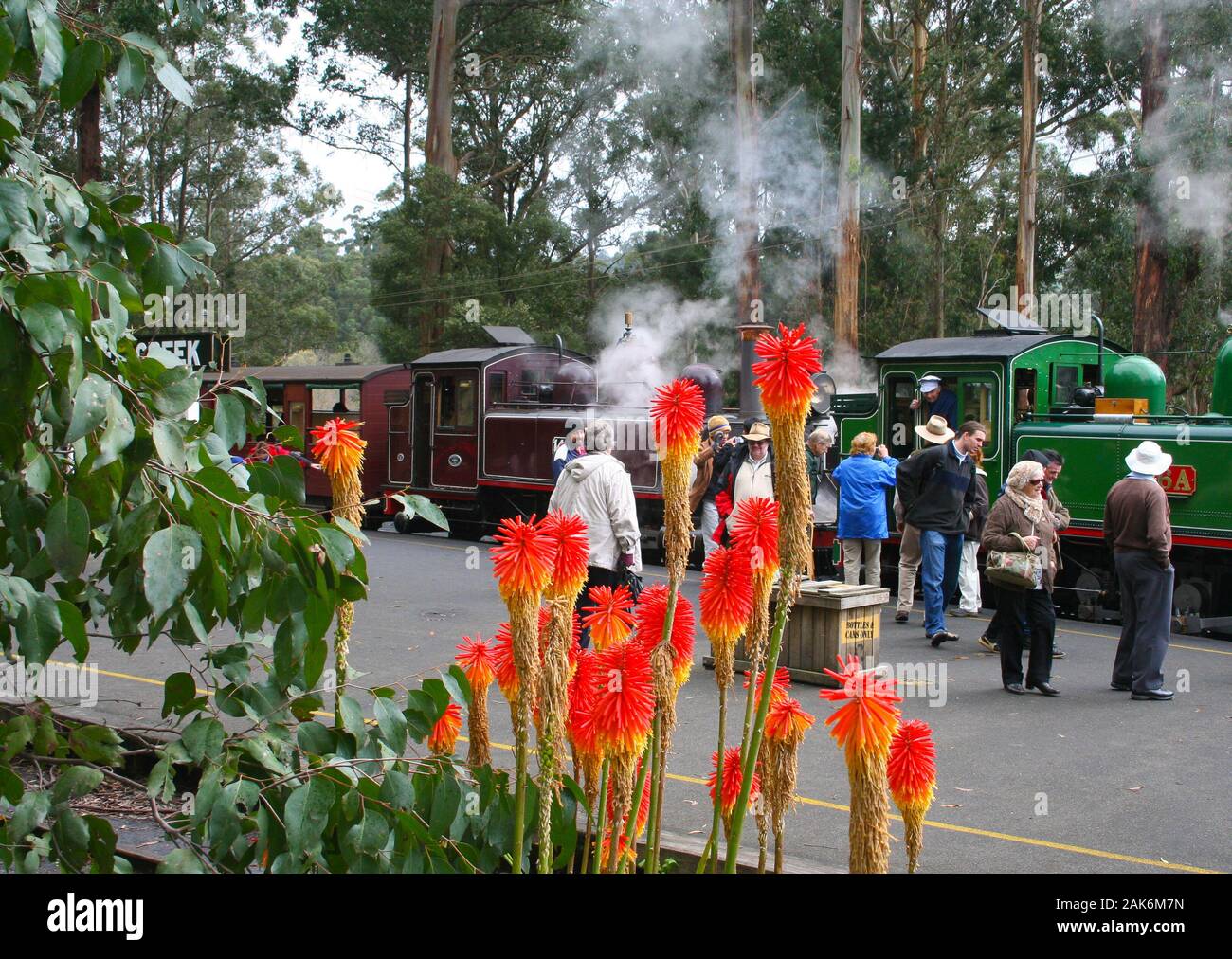 Puffing billy steam railway hi-res stock photography and images - Alamy