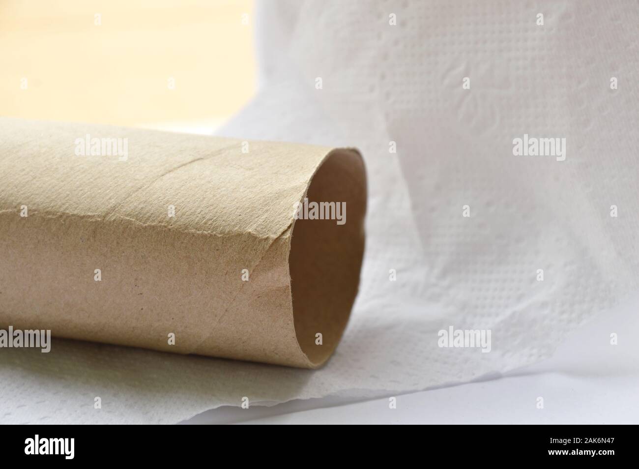 brown hard tissue paper core on white background Stock Photo - Alamy