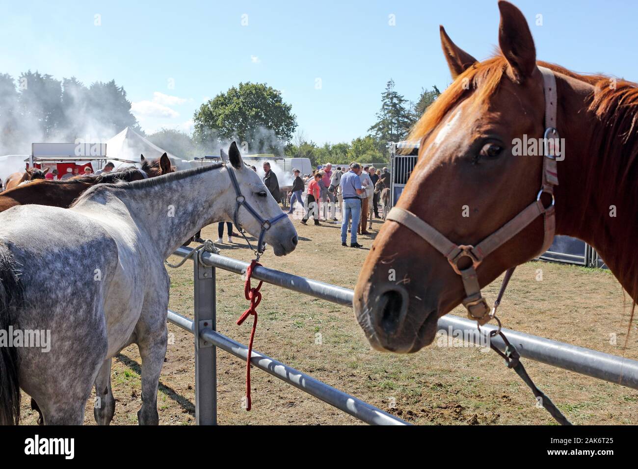 Lessay hi-res stock photography and images - Alamy