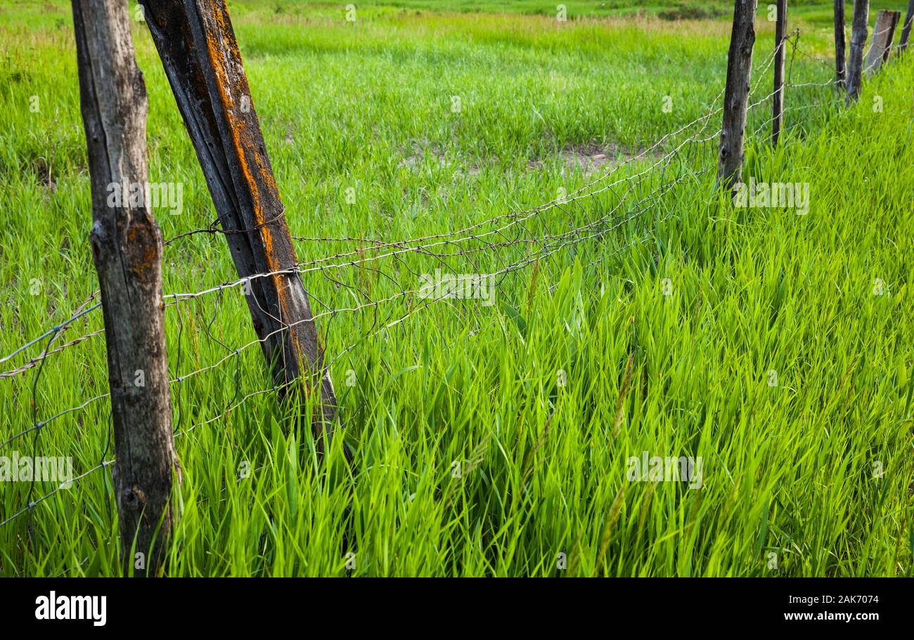 Old fence posts barbed wire hi-res stock photography and images - Alamy