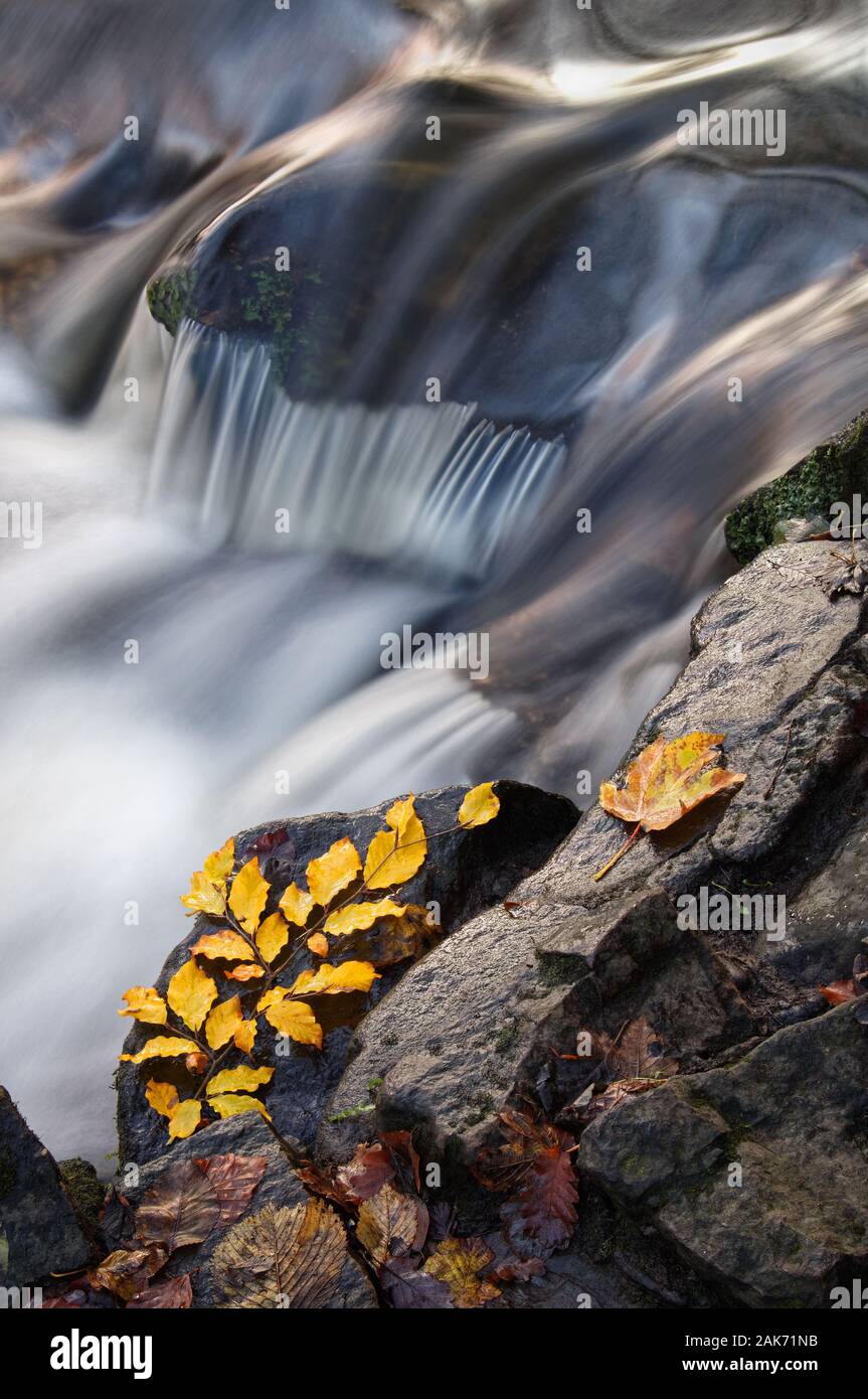 Endcliffe park falls hi-res stock photography and images - Alamy