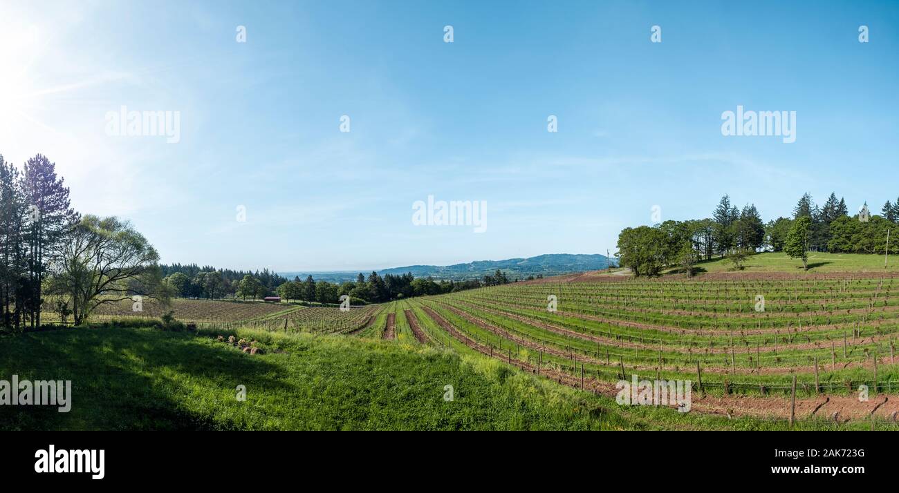 Adelsheim Vineyard, winery and tasting rooms. Newberg. Oregon Stock ...
