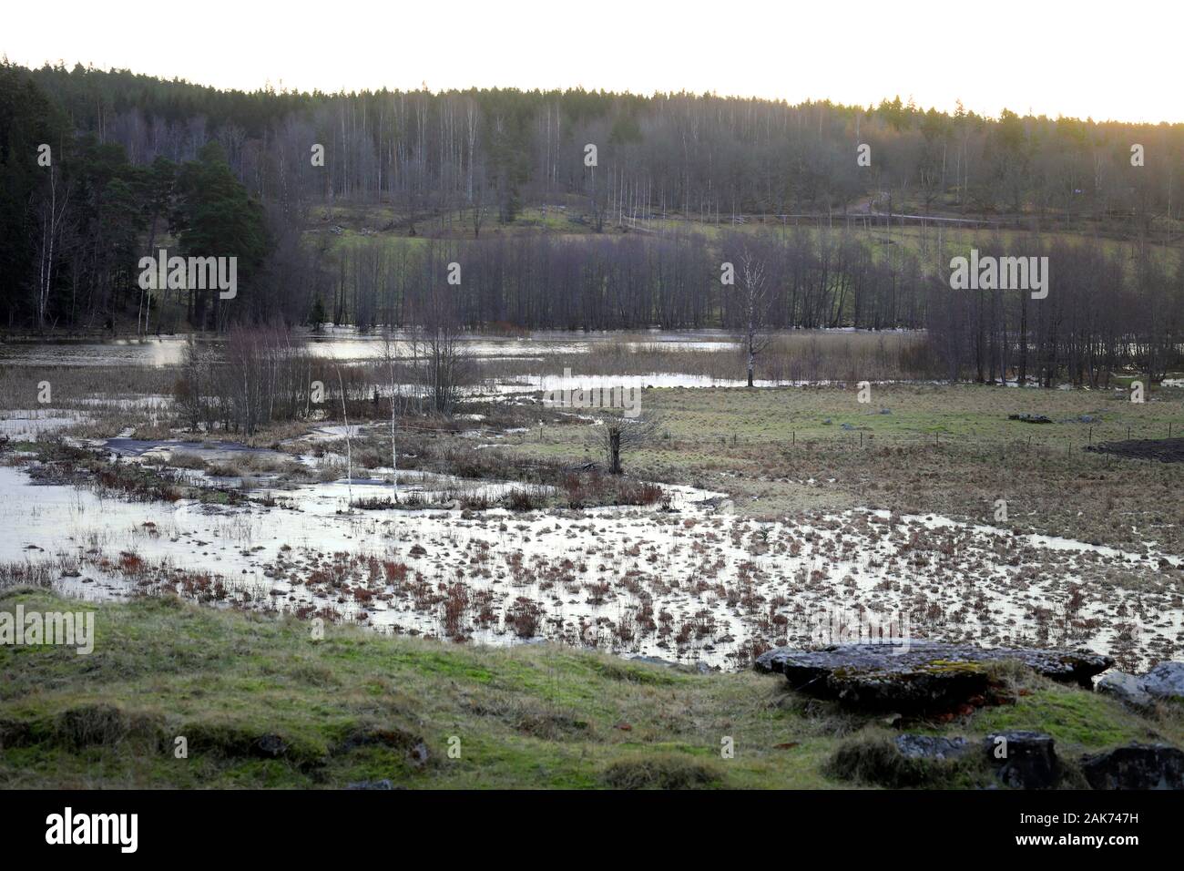 Flooding Kiskonjoki river, Southwest of Finland, in January 2020. Mild ...