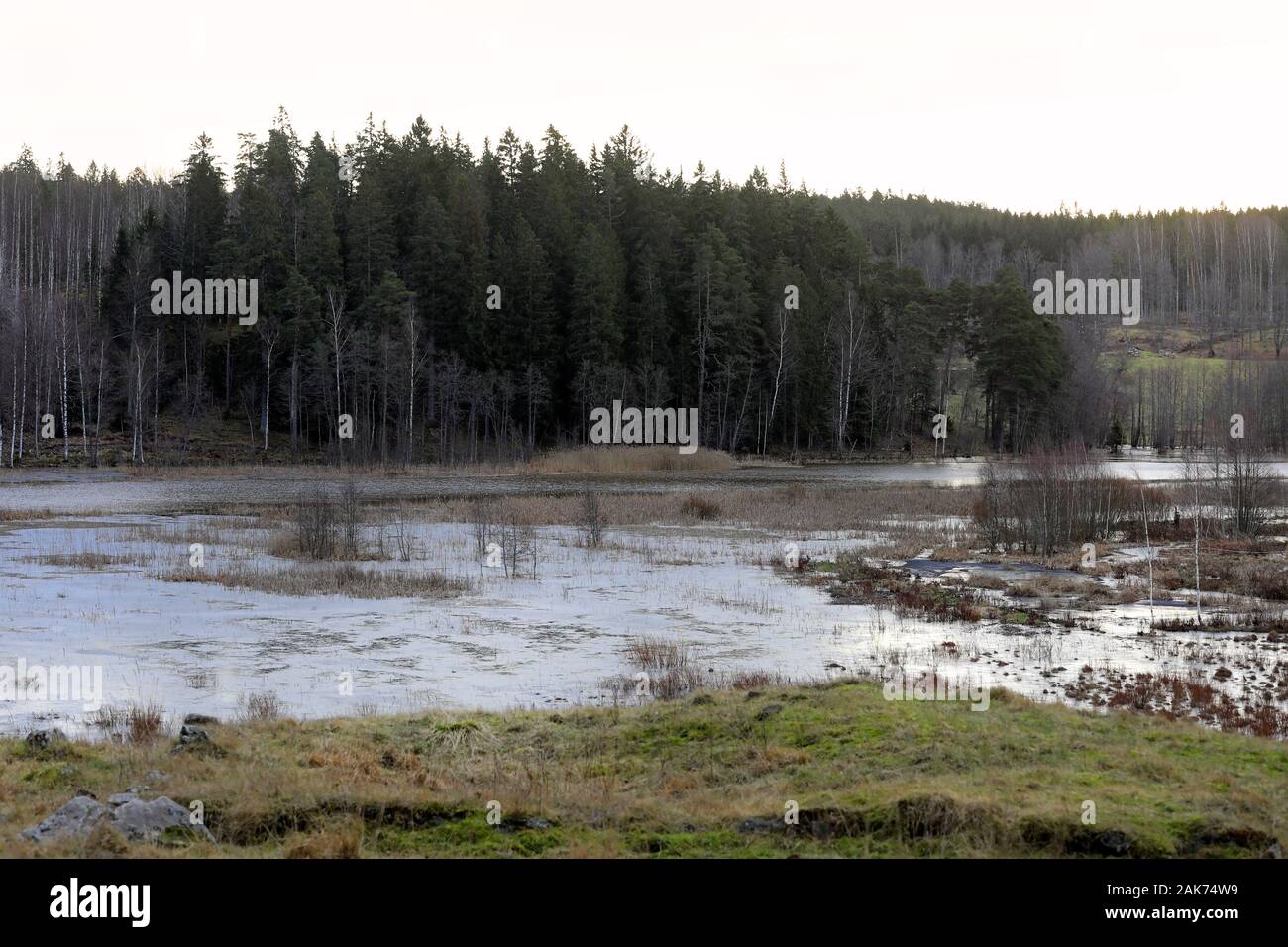 Flooding Kiskonjoki river, Southwest of Finland, in January 2020. Mild ...