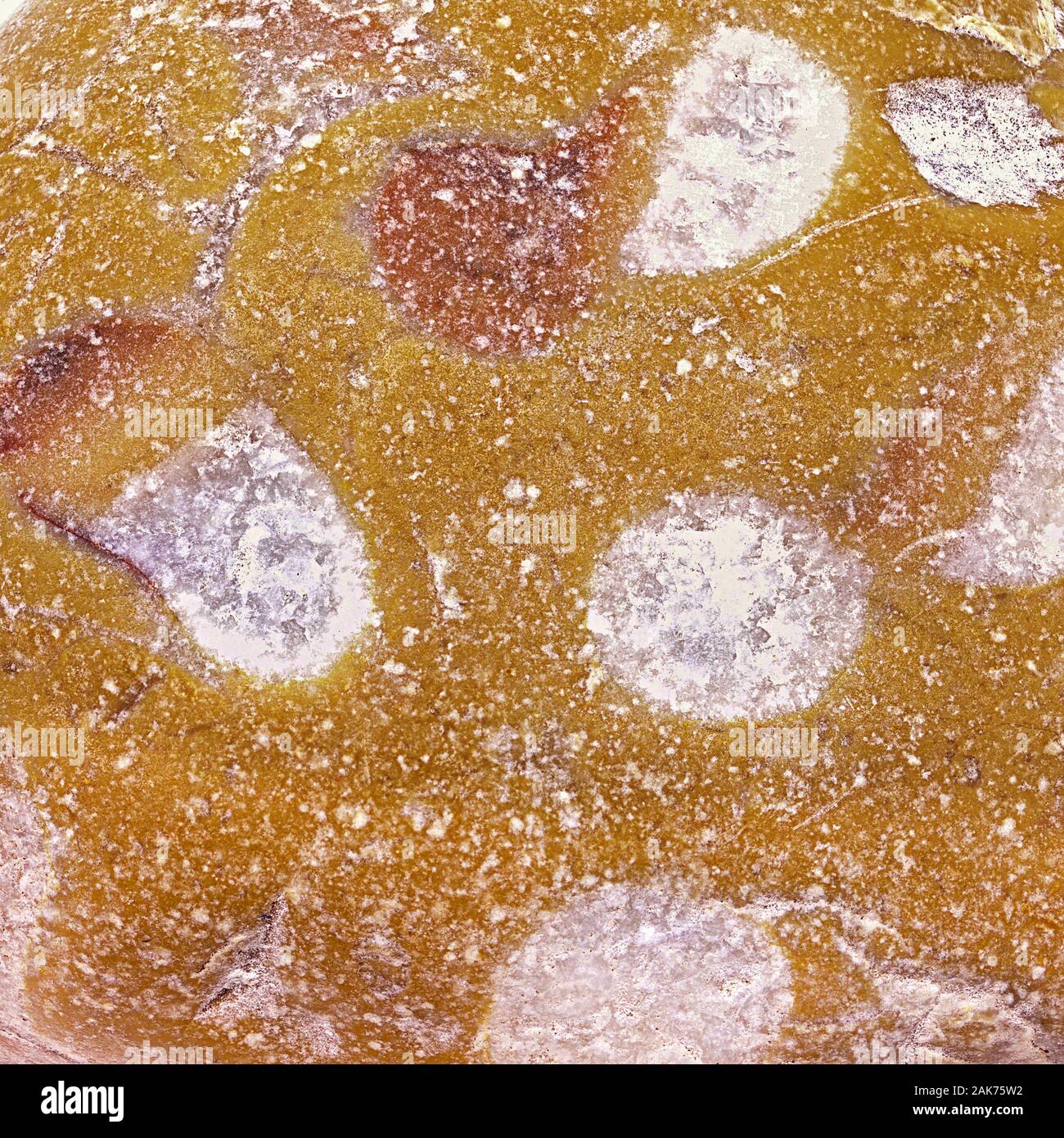 texture of a yellow colored stone with white and reddish dots Stock ...