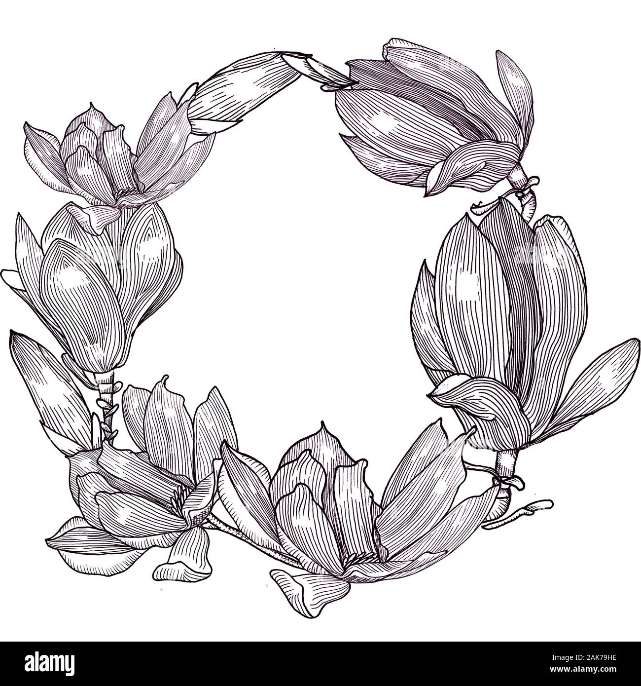 Greeting card magnolia flowers Cut Out Stock Images & Pictures - Alamy