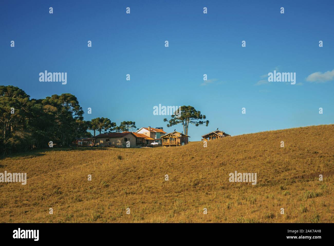 Wooden houses on top of hill covered by pine trees and dry bushes near ...
