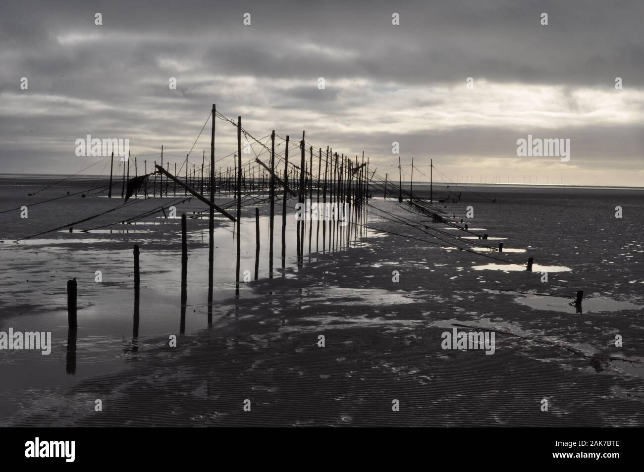 Stake net poles sticking up wards from the beach at Sandyhills Bay ...