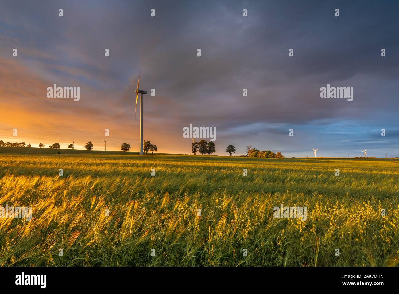 Puck wind farm hi-res stock photography and images - Alamy