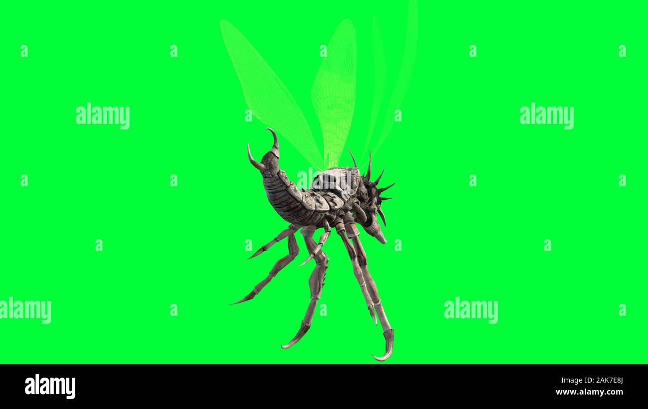 the evil bug 3d render Stock Photo - Alamy