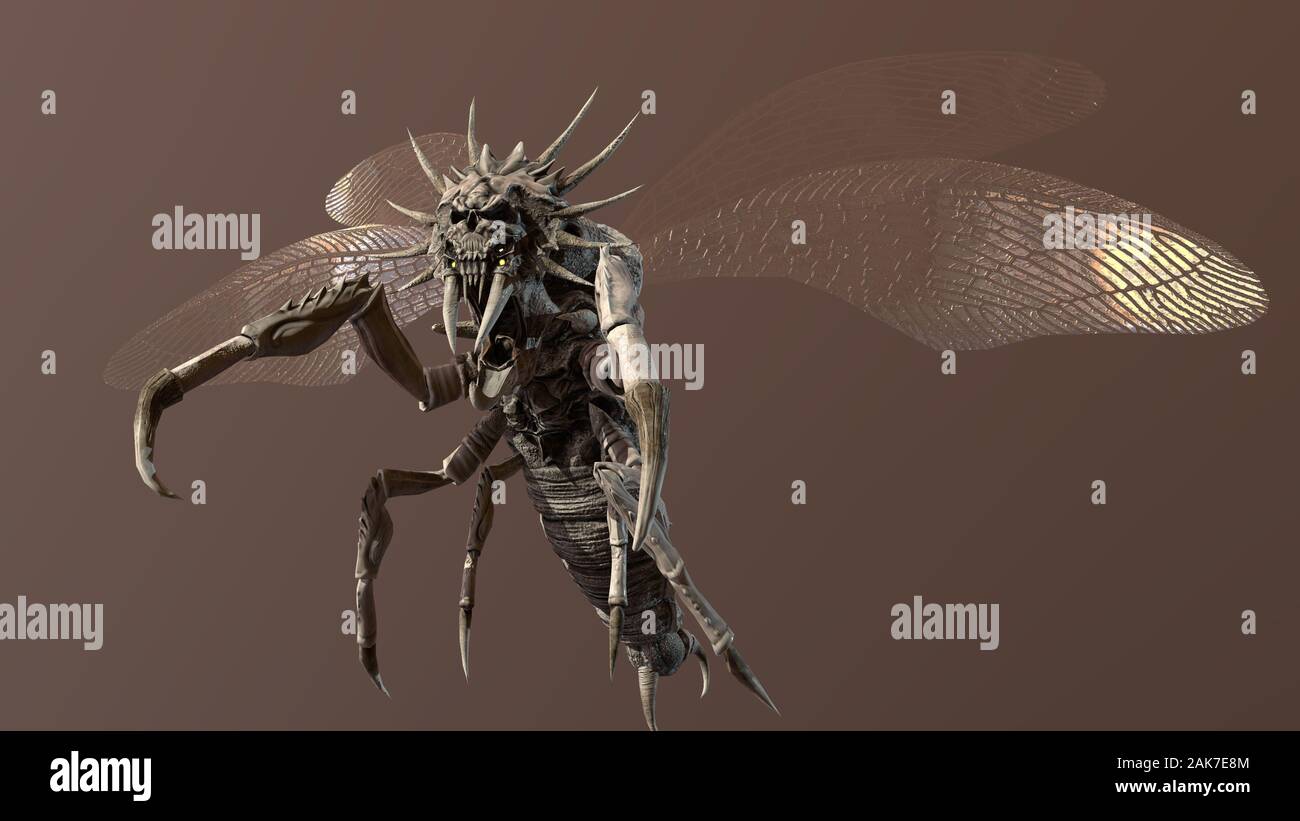 Insect beetle illustration bug cartoon hi-res stock photography and ...