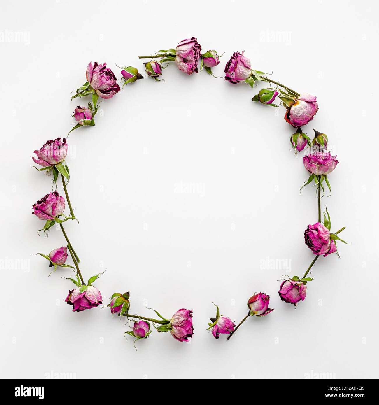 Round frame or wreath made of dried pink roses on white. Creative ...