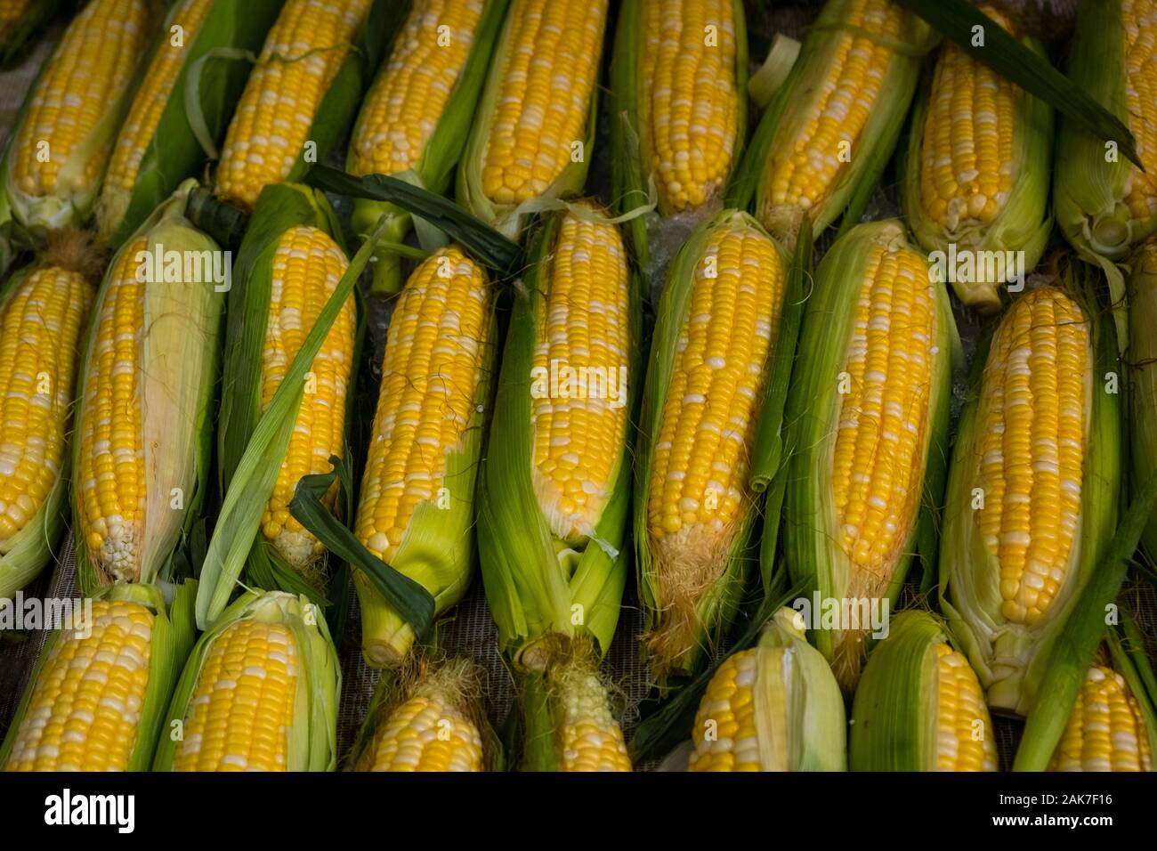 Closeup sweetcorn hi-res stock photography and images - Alamy