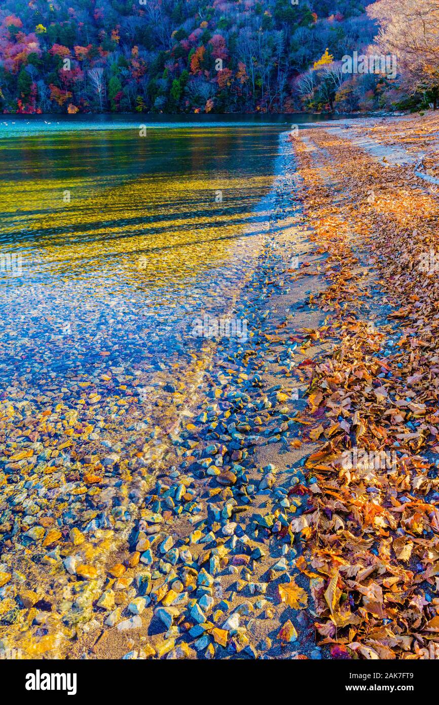 Autumn colors in Nikko Stock Photo - Alamy
