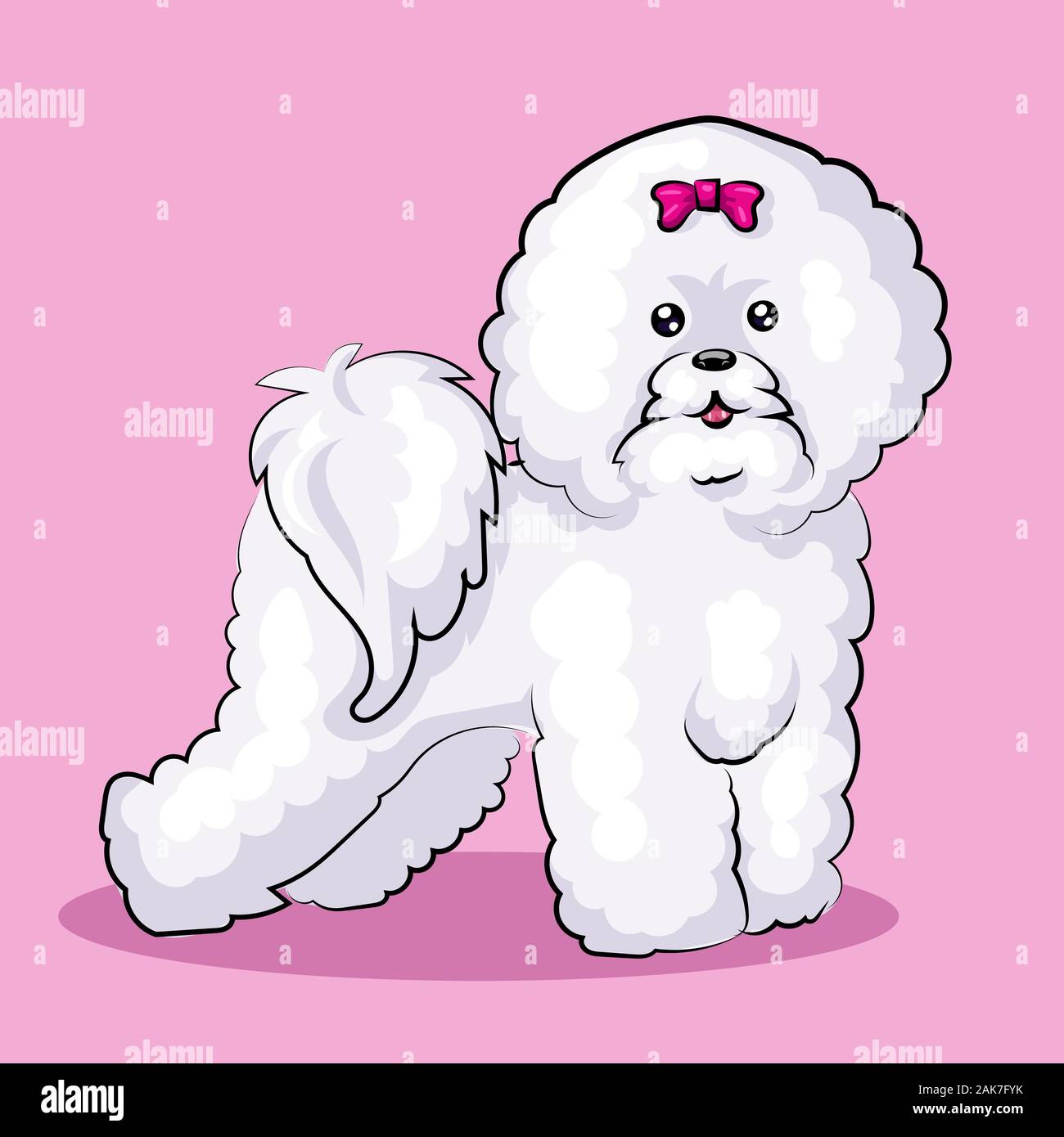 white Bichon Frize dog isolated at one color background Stock Photo - Alamy