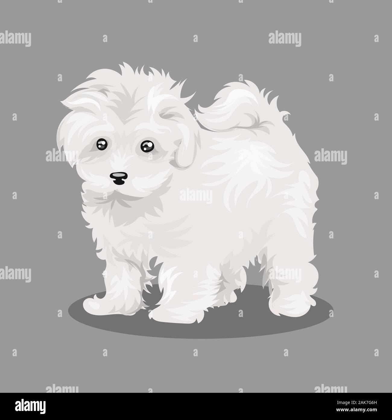 white Bichon Frize dog isolated at one color background Stock Vector ...