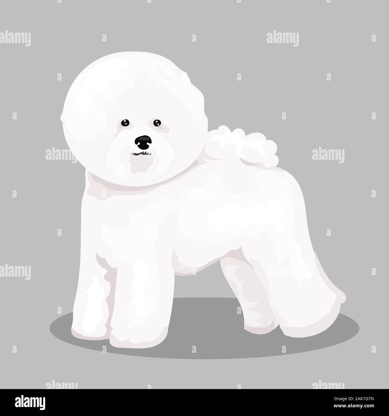 white Bichon Frize dog isolated at one color background Stock Vector ...