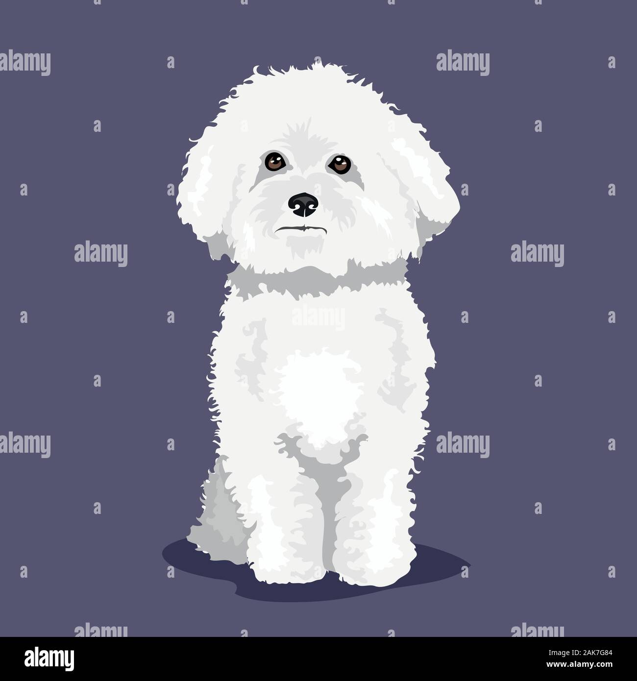 white Bichon Frize dog isolated at one color background Stock Vector ...