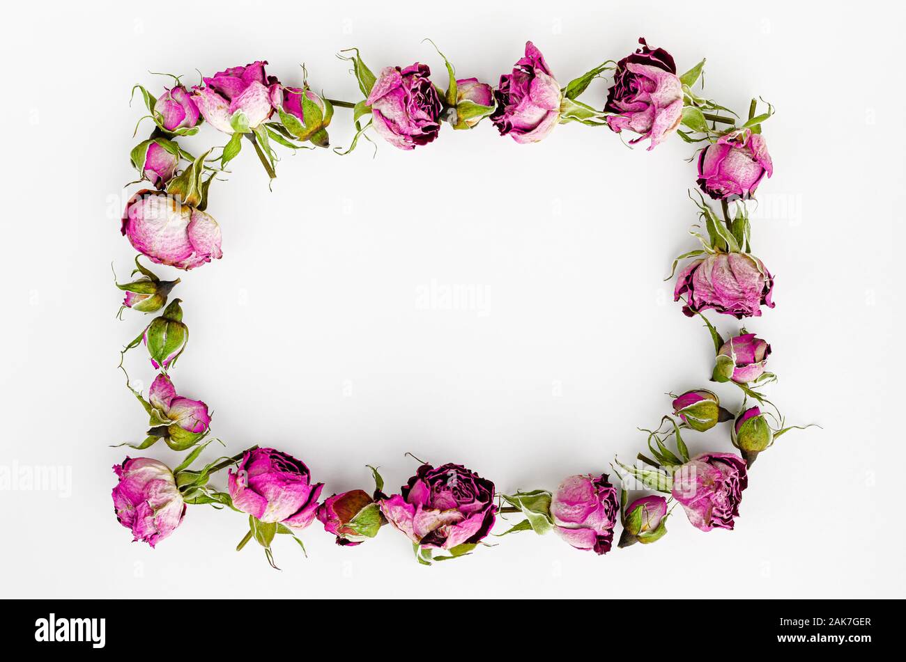 Frame or border composition of dried flowers on white background. Mock ...