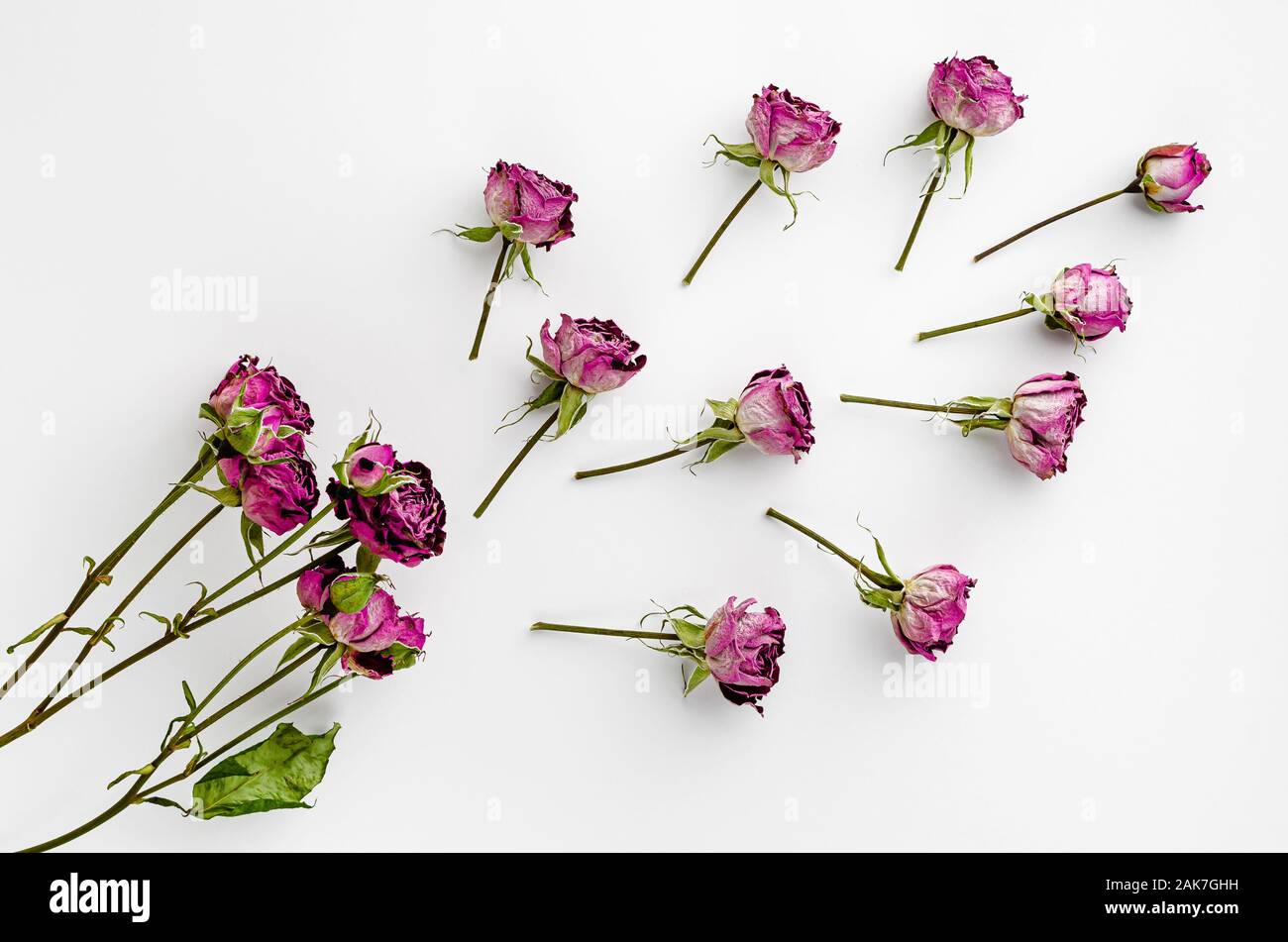 Vintage floral background made of dried roses on white background. Flat ...