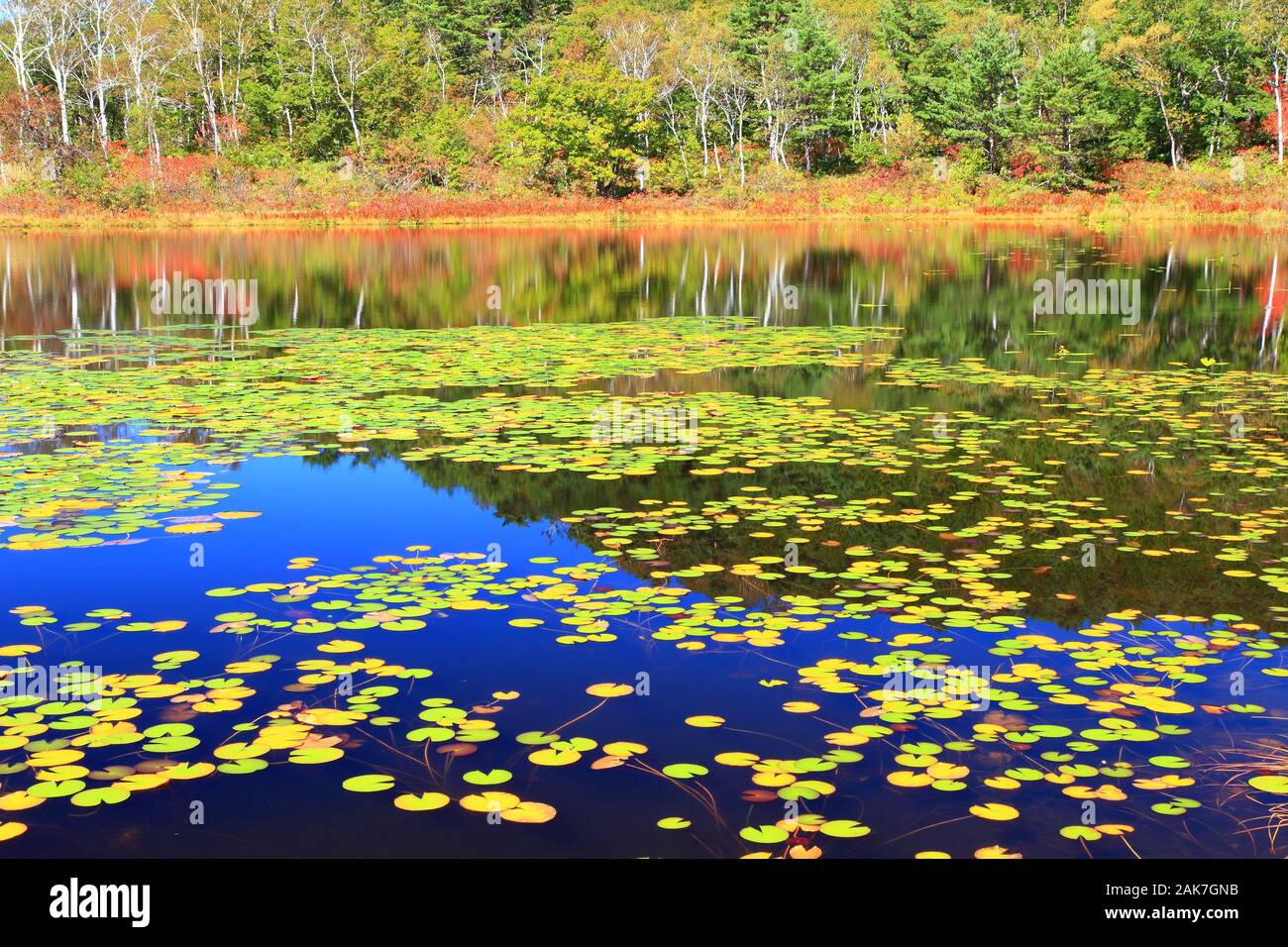 Shin Etsu Region High Resolution Stock Photography and Images - Alamy