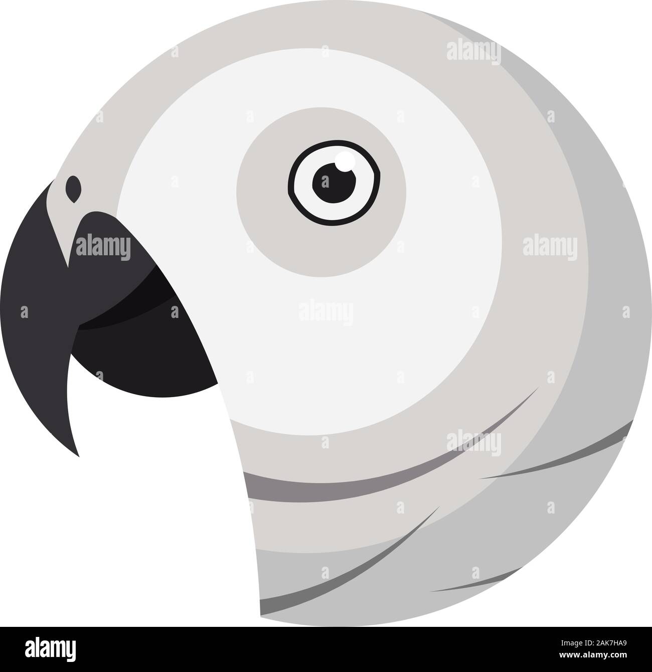 Golden ratio portrait Cut Out Stock Images & Pictures - Alamy