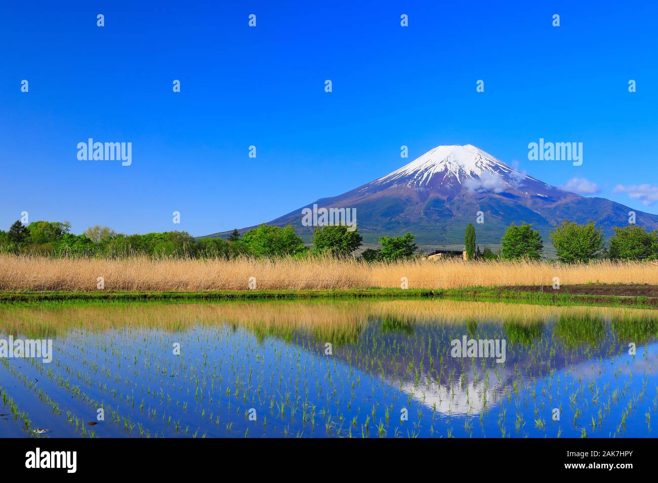 View of Mount Fuji Stock Photo - Alamy