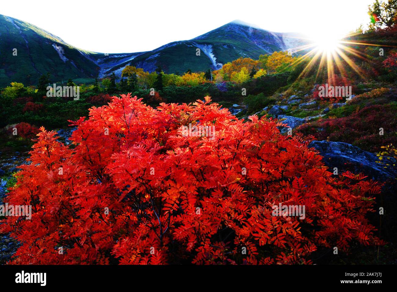 Shin Etsu Region High Resolution Stock Photography and Images - Alamy
