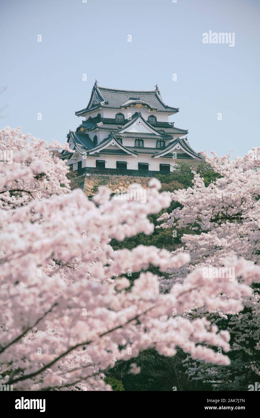 Hikone castle hi-res stock photography and images - Alamy