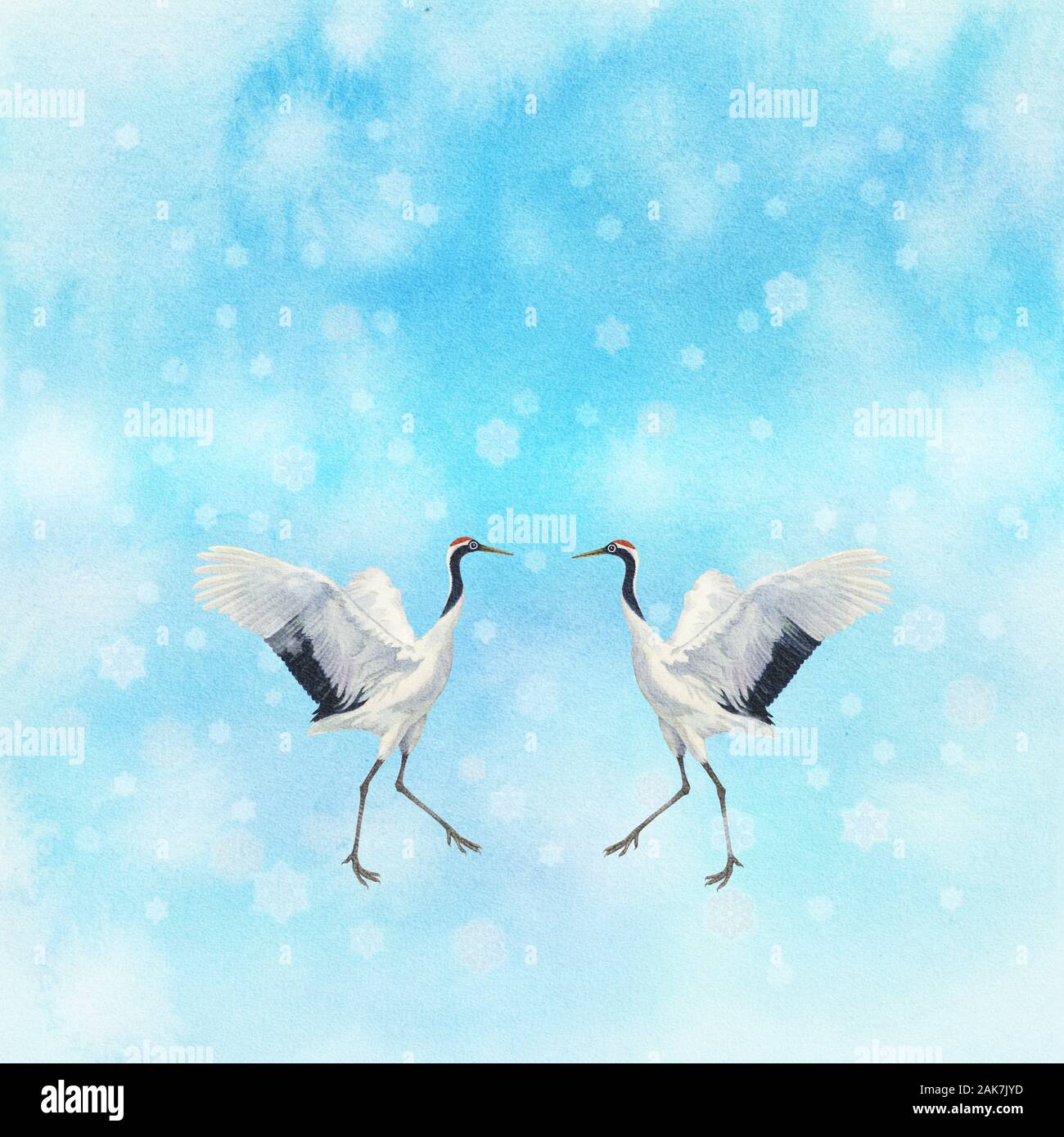 Japanese style traditional crane illustration Stock Photo - Alamy