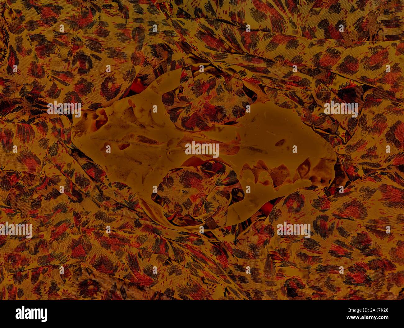 Still-life of skull, bones, alluding to death and other nefarious deeds ...