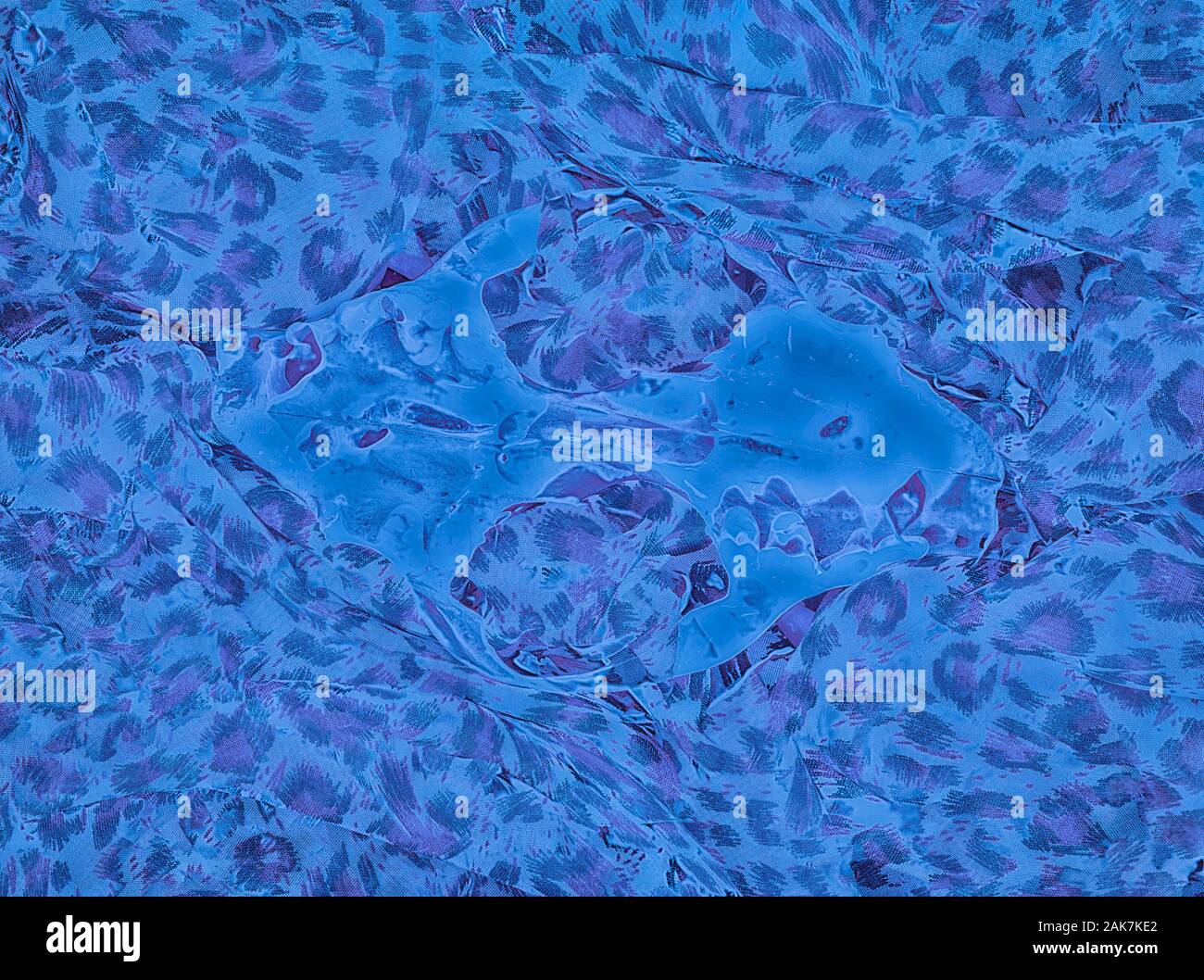 Still-life of skull, bones, alluding to death and other nefarious deeds ...